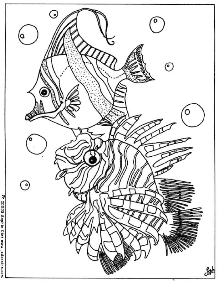 Coloriage Fond De Mer 53 Best Coloriage Images On Pinterest | danieguto