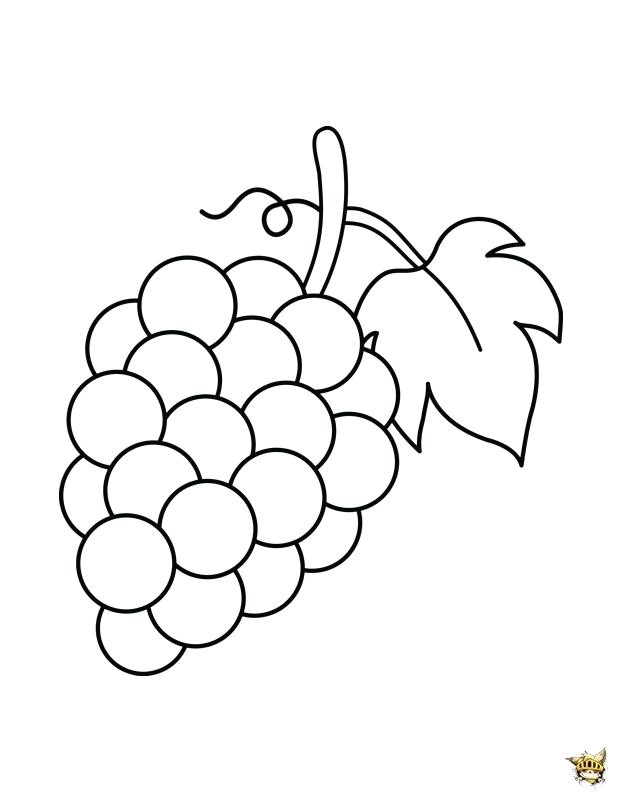 Coloriage Raisin Maternelle Coloriage De Raisin Raisin A Coloriage ...