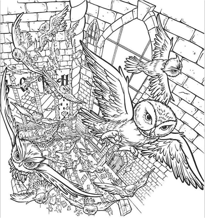 Coloriage A Imprimer Cadeau De Noel Coloriages Imprimer Harry Potter ...
