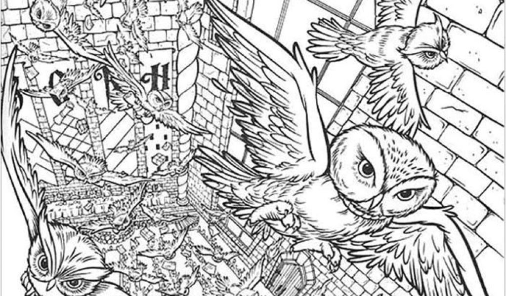 Coloriage A Imprimer Cadeau De Noel Coloriages Imprimer Harry Potter ...