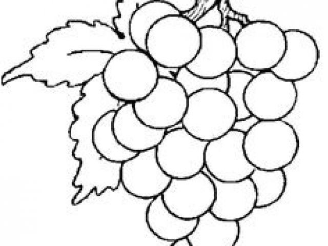 Coloriage Grappe De Raisin à Imprimer Résultat De Recherche D Images ...