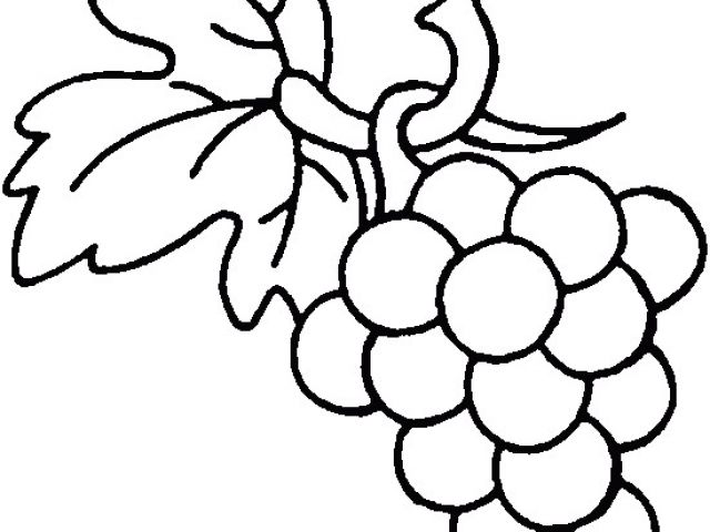 Coloriage Grappe De Raisin Coloriage D Une Grappe De Raisin Coloriages ...