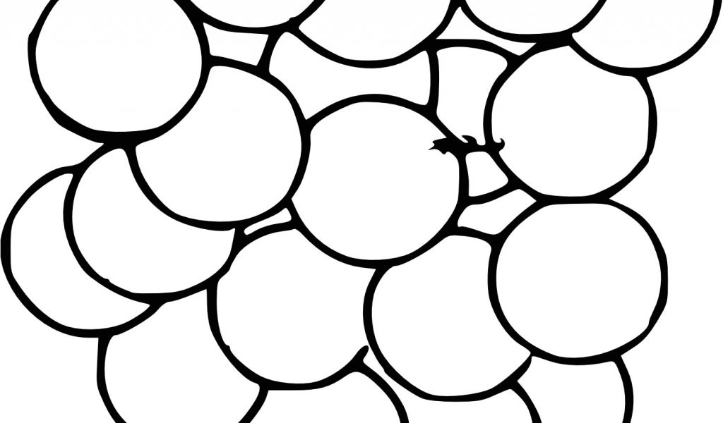Coloriage Grappe De Raisin Coloriage Grappe De Raisins Gratuit Imprimer ...