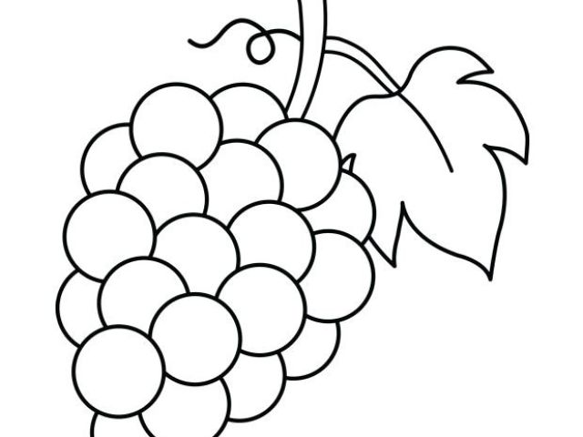 Coloriage Raisin Maternelle Coloriage De Raisin Raisin A Coloriage ...