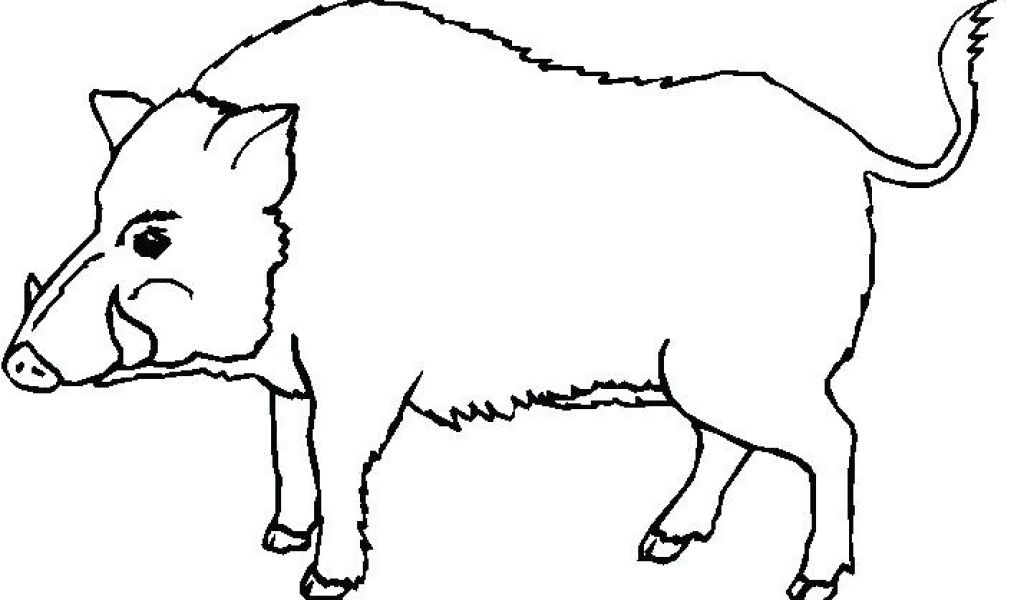 Coloriage Sanglier Marcassins Coloriage A Dessiner De Sanglier En Ligne ...